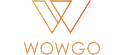 Wowgo 2S Review - The first Meepo rival - Electric Skateboard HQ